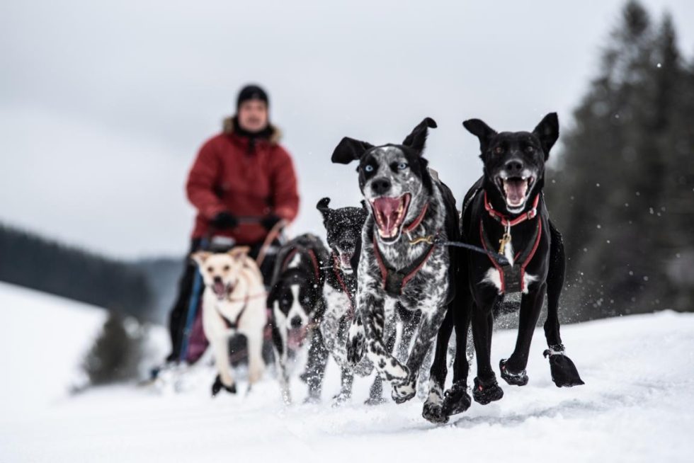 Mario Spath Fotografie › Fotograf aus Schönwald im Schwarzwald